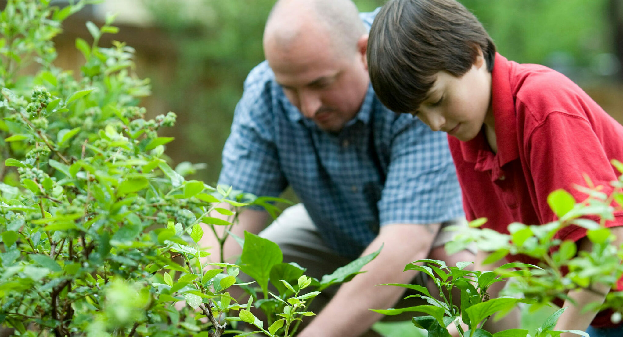 Individualised Support for Autistic person | Autism SA